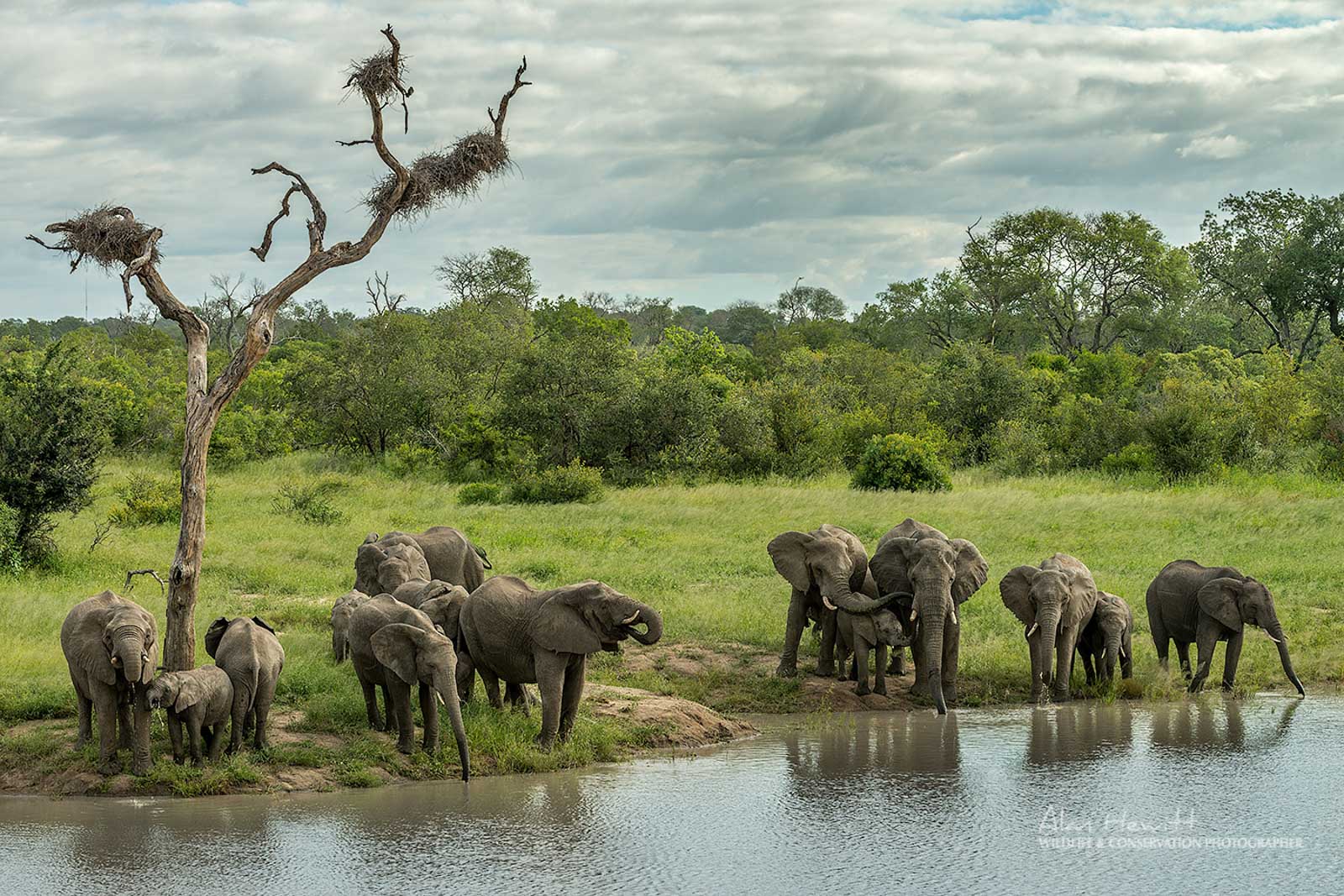 The Winner of Our Safari Competition Is... - Nature TTL
