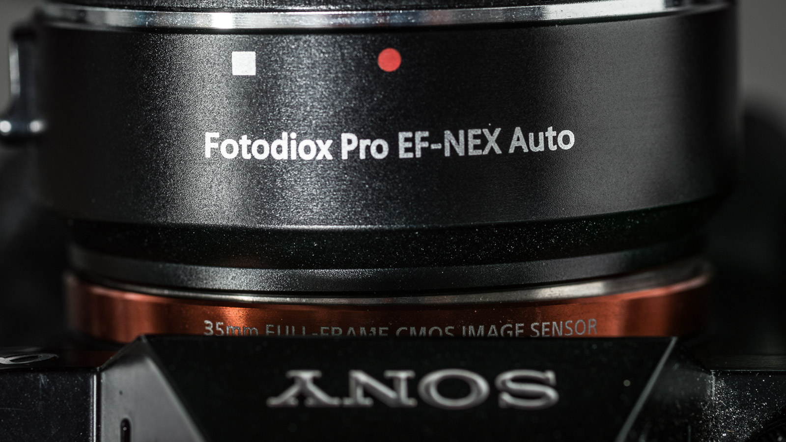 6 Tips for Better Night and Star Photos with Mirrorless Cameras ...