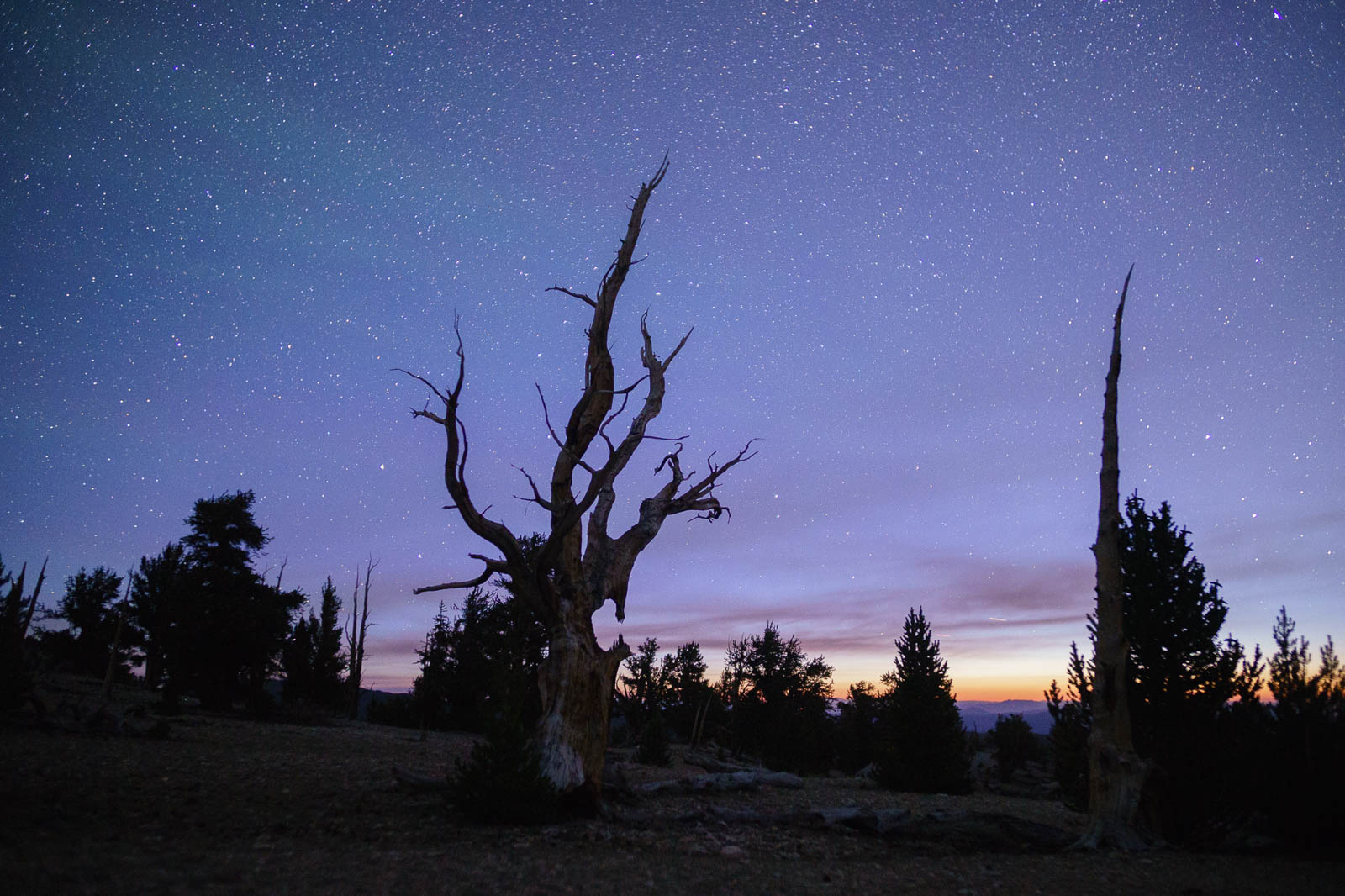 6 Tips for Better Night and Star Photos with Mirrorless Cameras ...