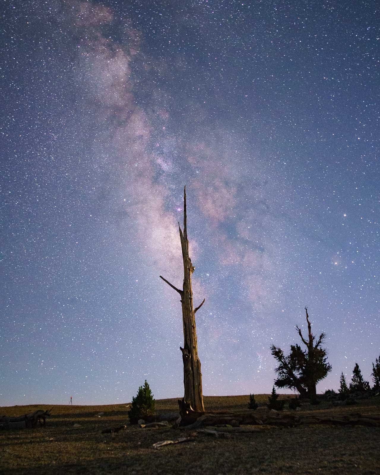 6 Tips for Better Night and Star Photos with Mirrorless Cameras ...