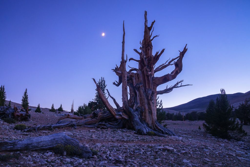 6 Tips for Better Night and Star Photos with Mirrorless Cameras ...