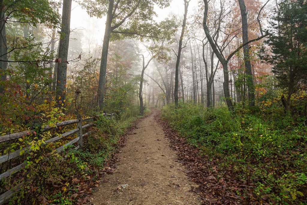 7 Challenges All Landscape Photographers Must Overcome - Nature TTL