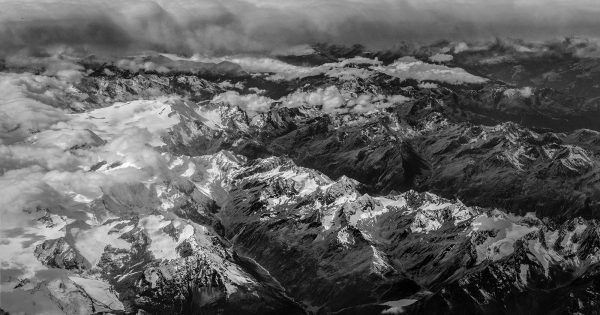 Weekly Photography Assignment: Contrast - Nature TTL