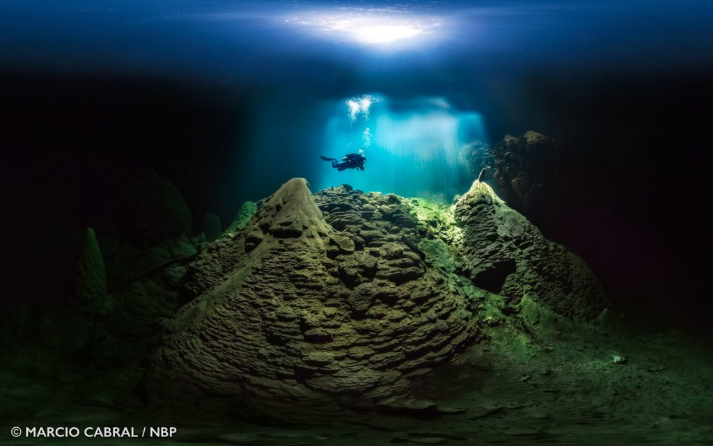 Winners of 2017 Nature's Best Photography Windland Smith Rice Awards ...