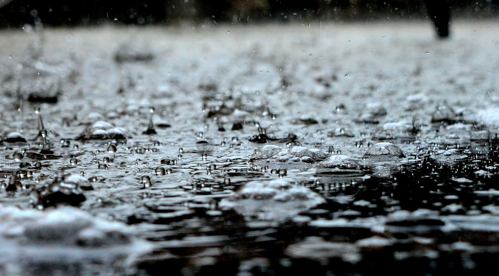 Weekly Photography Assignment: Rain - Nature TTL