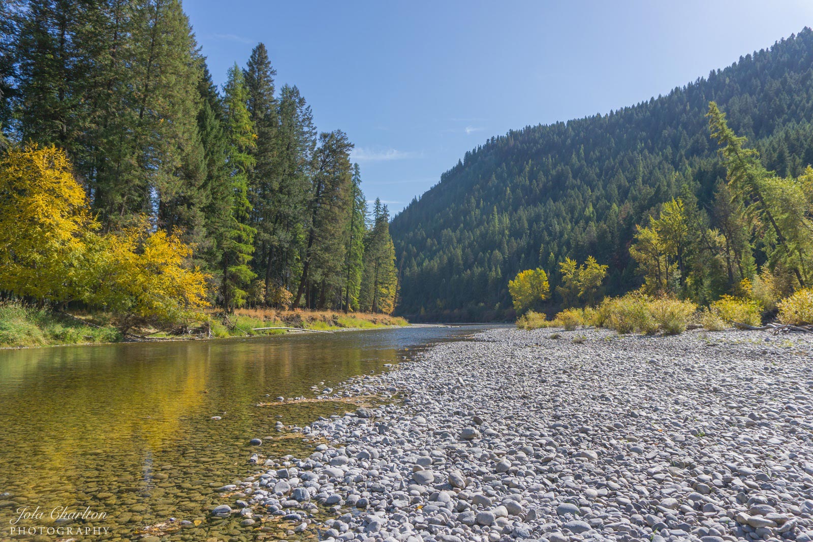 Weekly Photography Assignment: Forest Details - Nature TTL