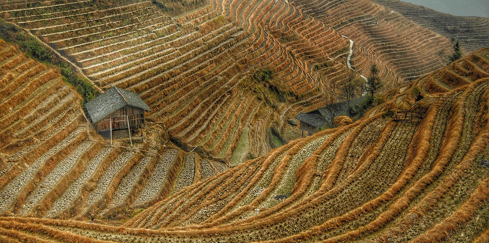 Weekly Photography Assignment: Contours - Nature TTL