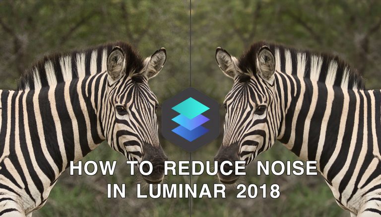 How to Selectively Reduce Noise in Luminar 2018 & Luminar 3 - Nature TTL