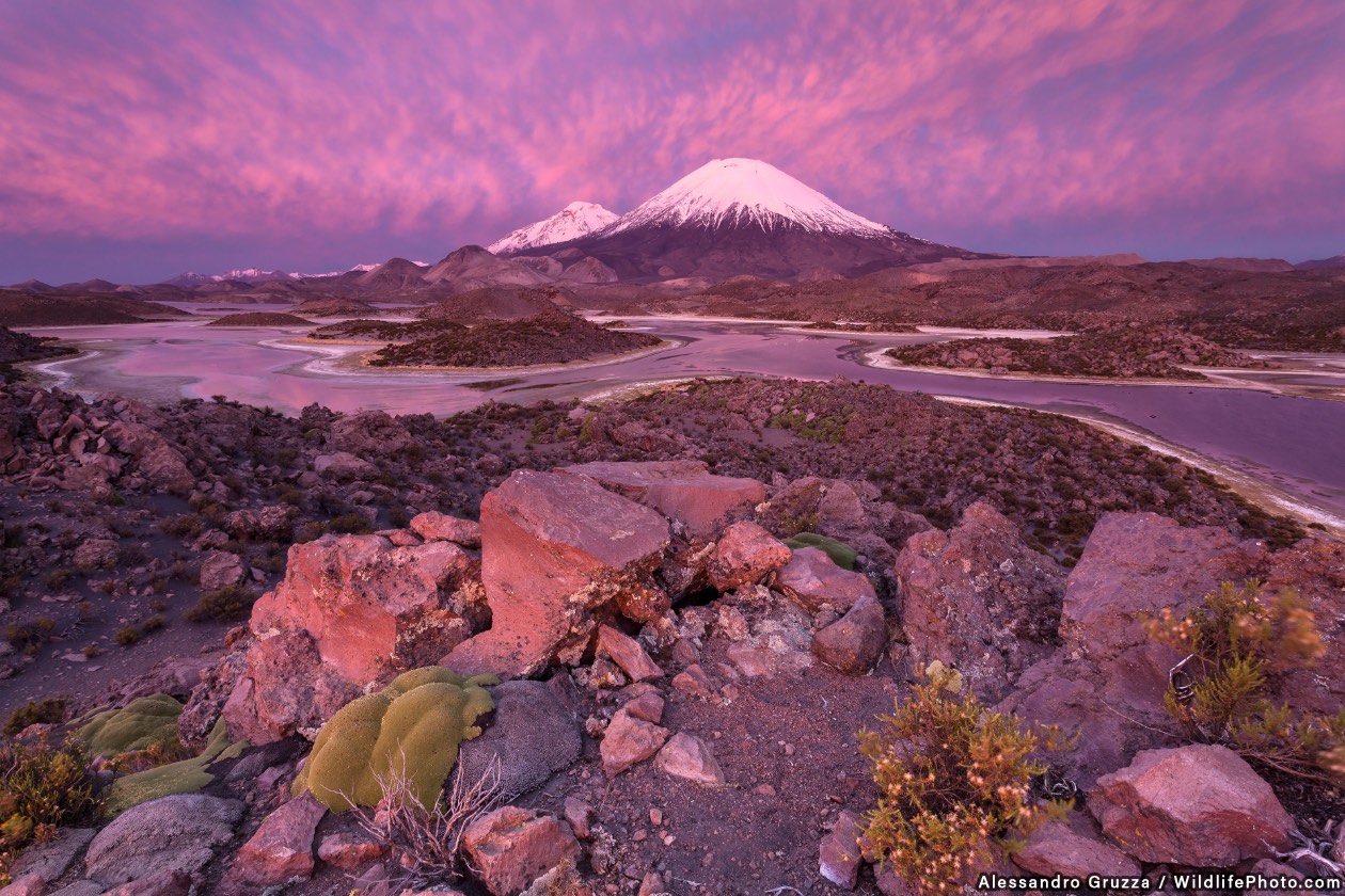 Winners of WildlifePhoto 2017 Competition Announced - Nature TTL