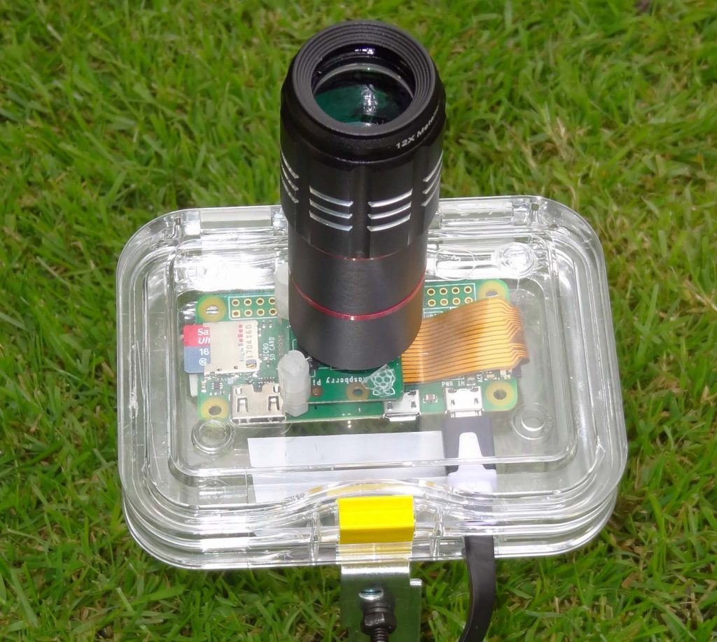 This Photographer Built a Wildlife Trail Camera From Scratch - Nature TTL