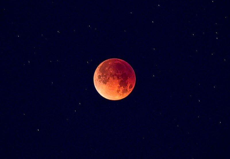 'Blood Micro Moon' Will Be Longest Lunar Eclipse of Century - Nature TTL