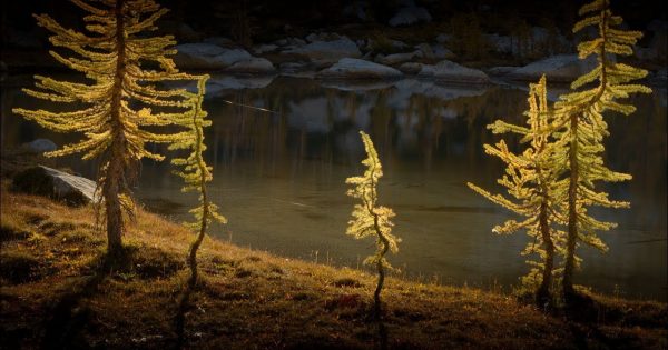 How to Use Reflected Light for Better Landscape Photos - Nature TTL