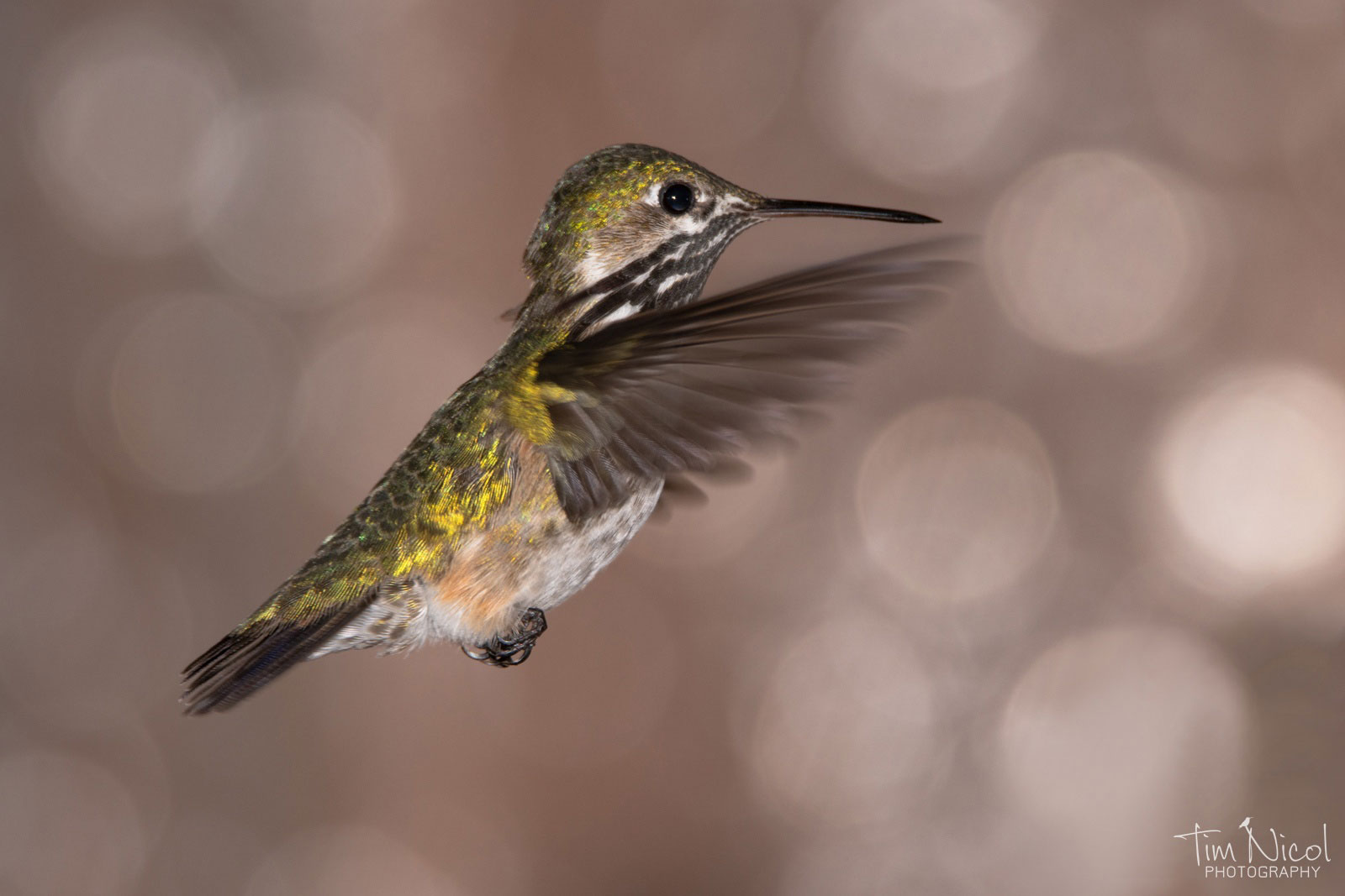 Weekly Photography Assignment: Wide-angles - Nature TTL