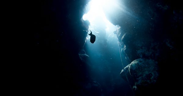 8 Tips for Creating Amazing Lighting in Underwater Photos - Nature TTL