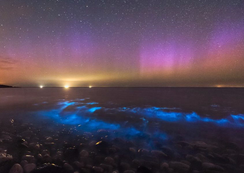 Bioluminescent Plankton Glows in Amazing Welsh Landscapes - Nature TTL