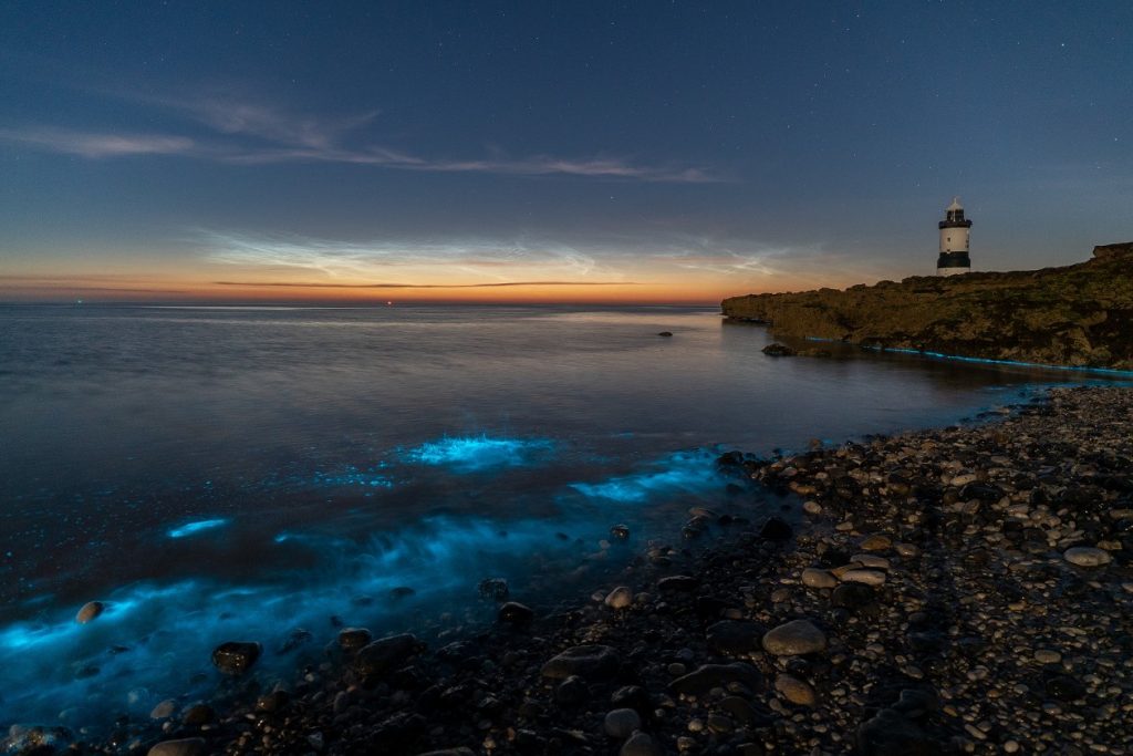 Bioluminescent Plankton Glows in Amazing Welsh Landscapes - Nature TTL