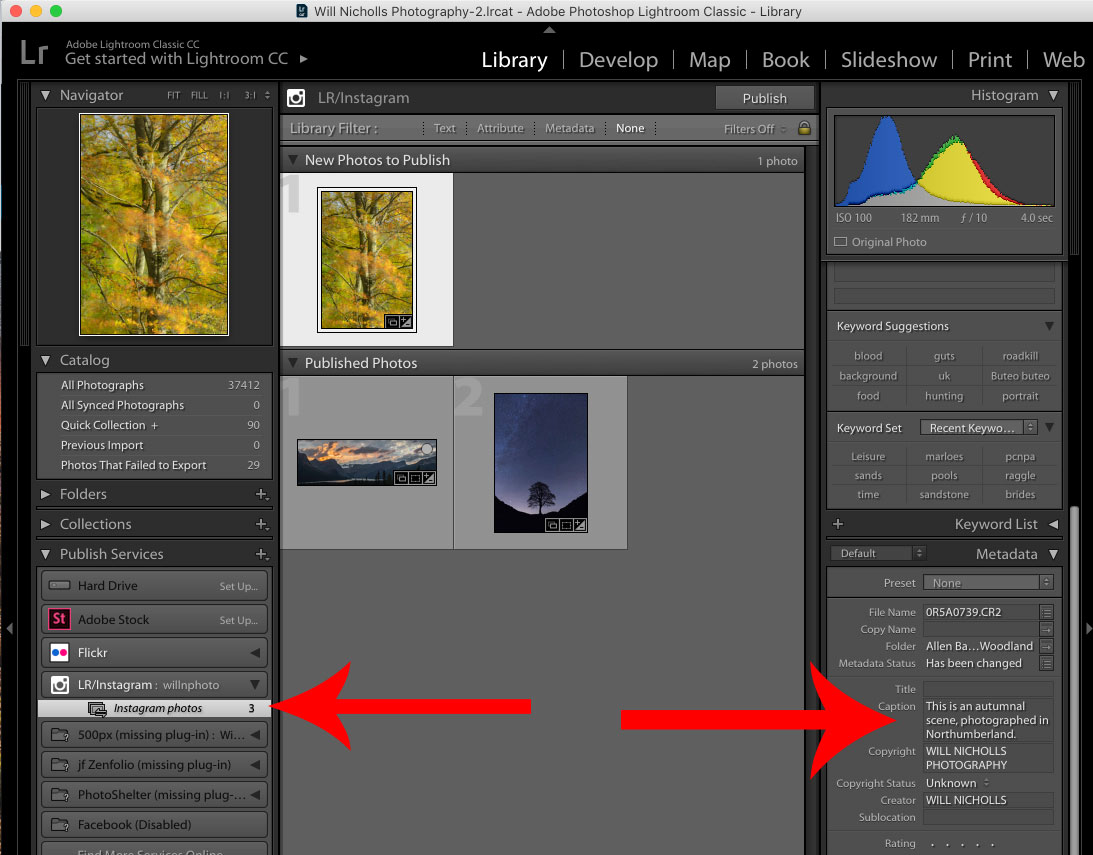 How to Post Photos to Instagram from Lightroom - Nature TTL