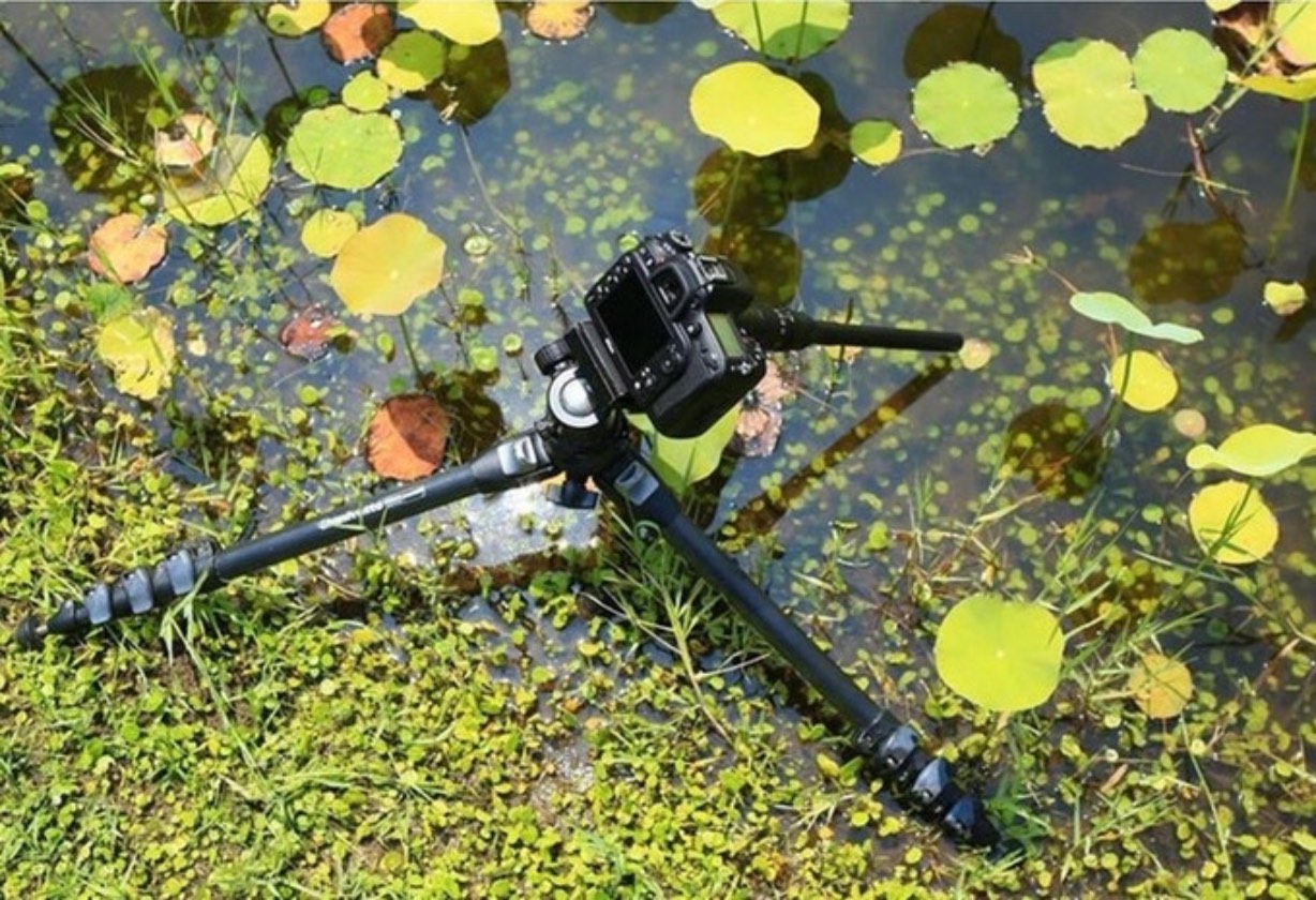 Venus Optics Launch 'Weird but Revolutionary' 24mm f/14 Macro Probe ...
