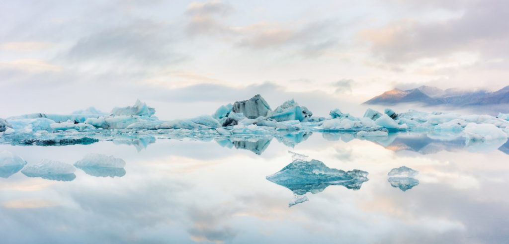 Zero Footprints Photography Competition 2018 Winners Announced - Nature TTL