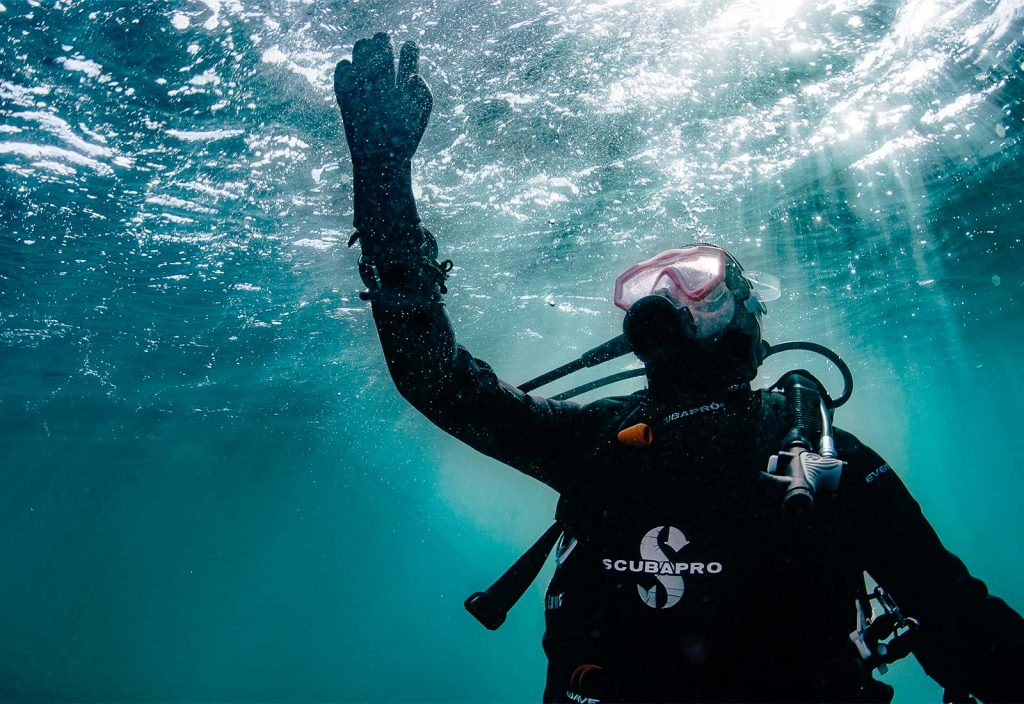 5 Easy Ways to Avoid Backscatter in Underwater Photos - Nature TTL