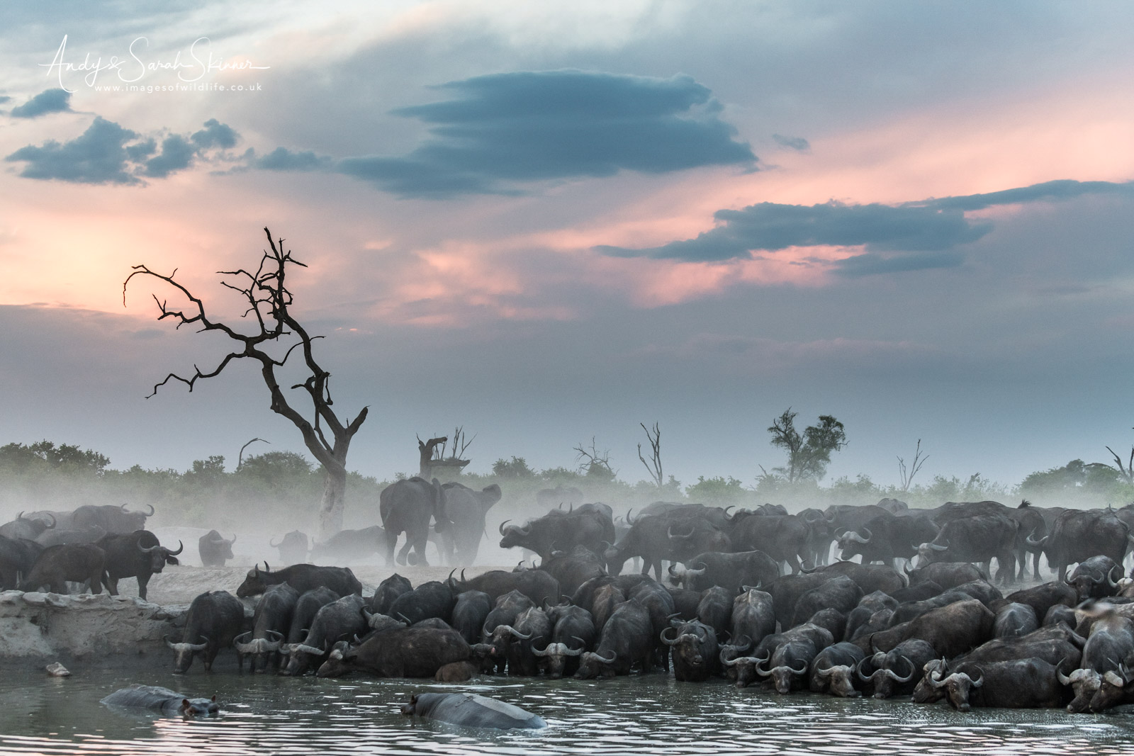 National Park Botswana South Africa