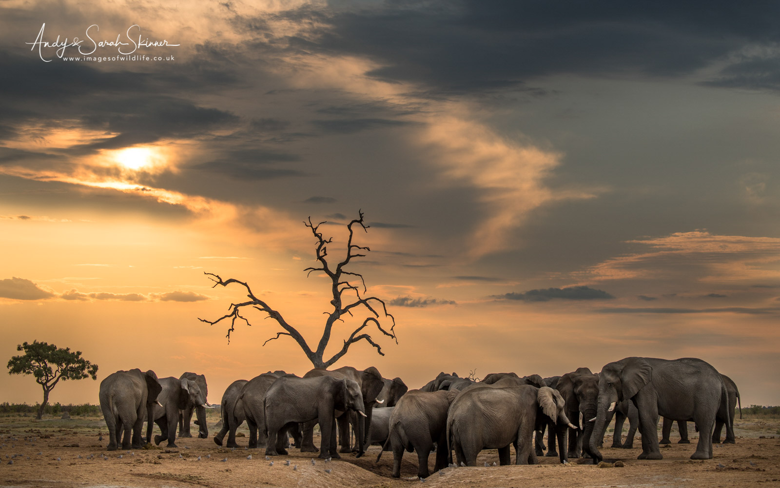 6 Reasons to Go to Botswana on Safari | Nature TTL