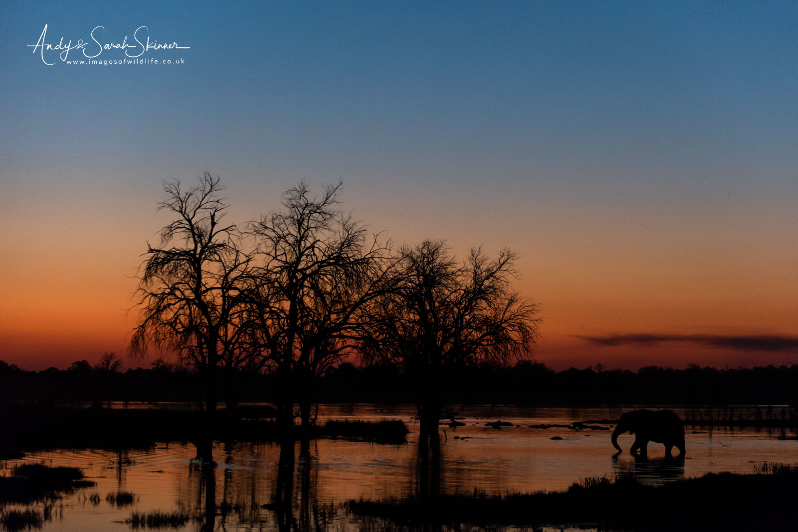 6 Reasons to Go to Botswana on Safari | Nature TTL