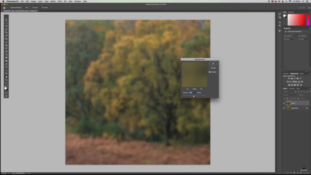 How to Process Woodland Photos with the Orton Effect - Nature TTL