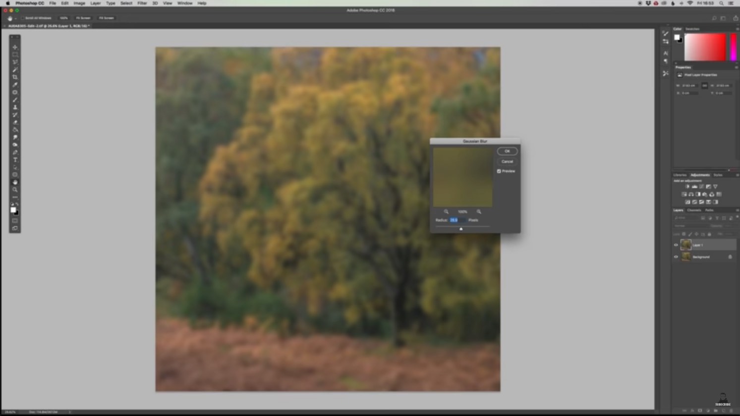 How to Process Woodland Photos with the Orton Effect - Nature TTL