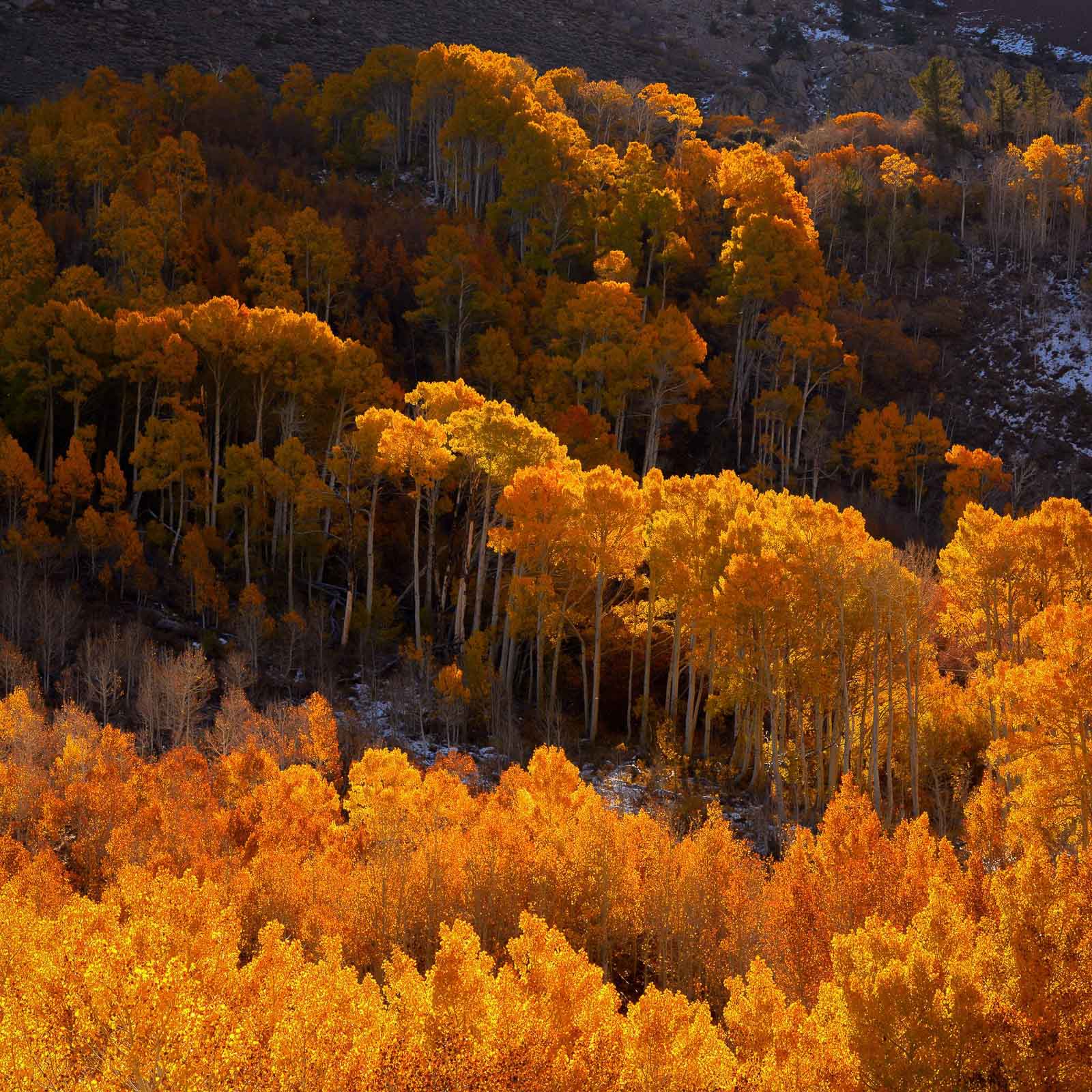 Top 10 Landscape Photography Locations in California - Nature TTL
