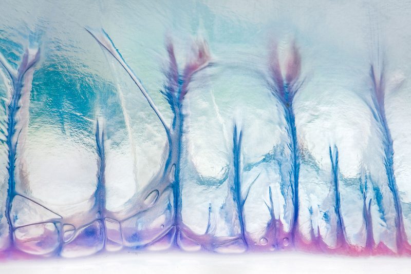 How to Take Abstract Macro Photos - Nature TTL