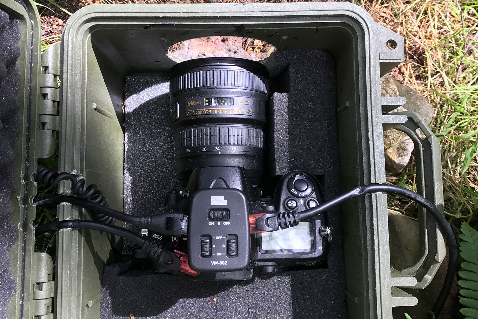 8 Tips for Wildlife Camera Trap Photography - Nature TTL