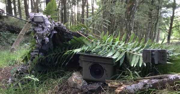 8 Tips for Wildlife Camera Trap Photography - Nature TTL