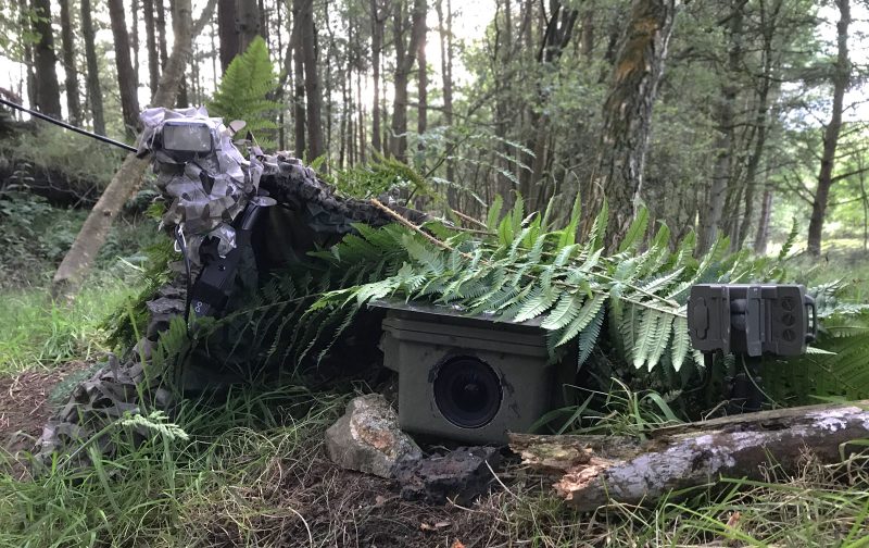 8 Tips for Wildlife Camera Trap Photography - Nature TTL