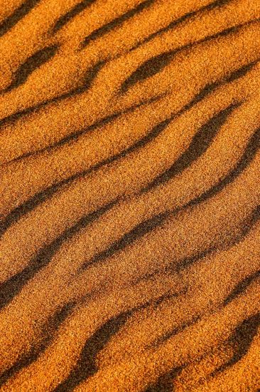 How to Take Coastal Close-up Macro Photos - Nature TTL