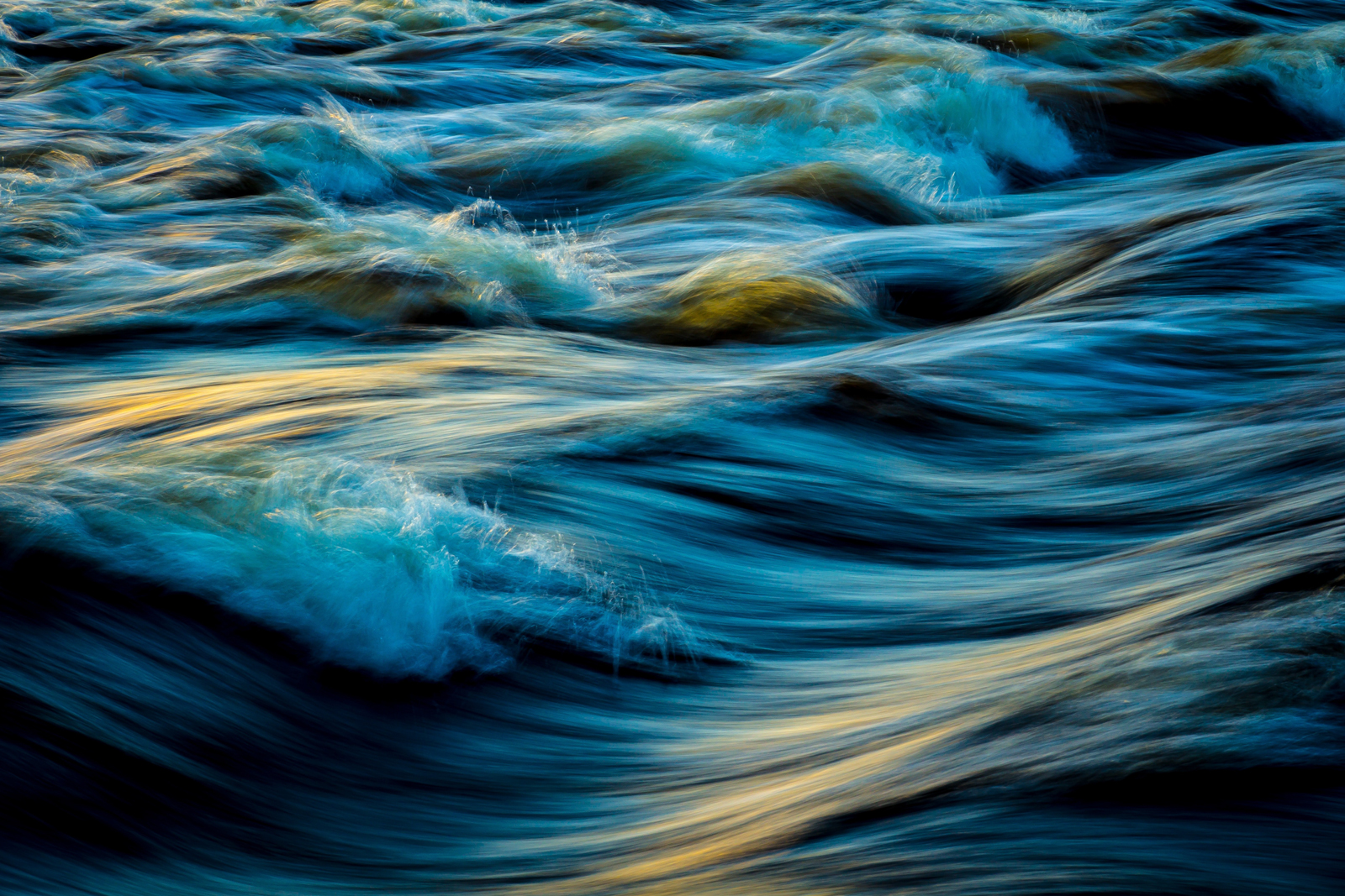 Weekly Photography Assignment: Motion Blur - Nature TTL