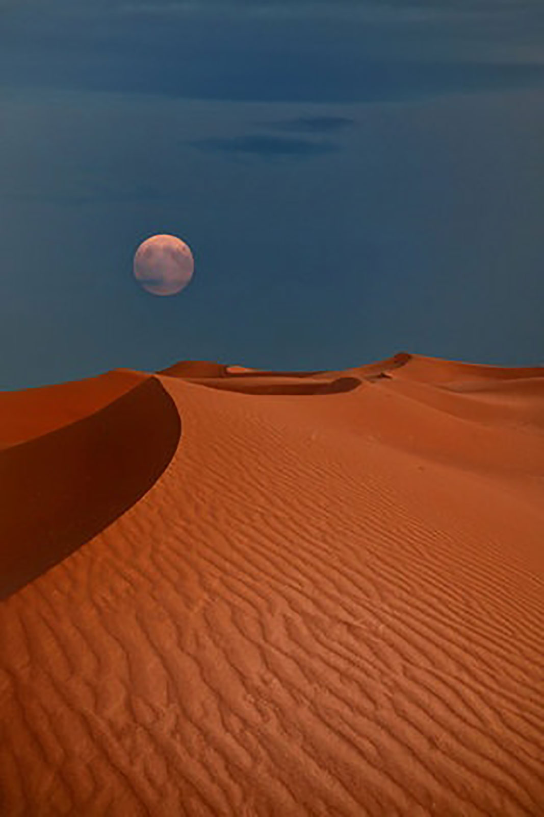 Weekly Photo Assignment: Urban Nature - Nature TTL