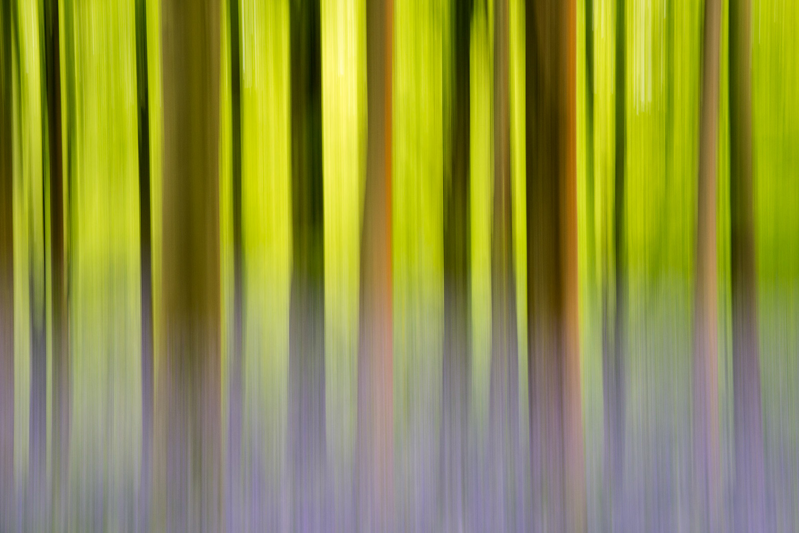 How to Photograph Spring Landscapes - Nature TTL