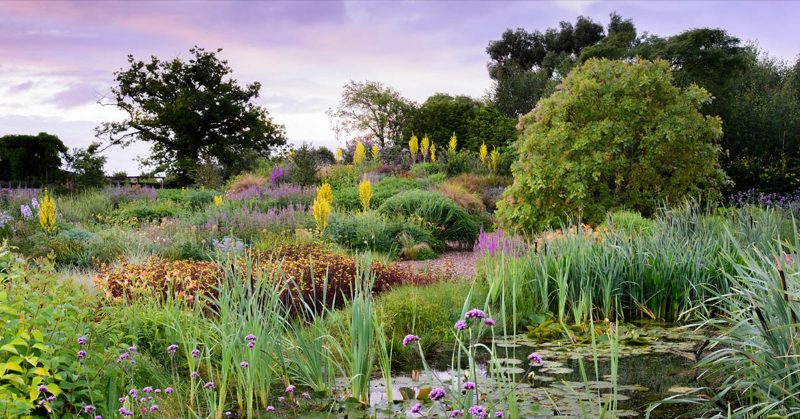 International Garden Photographer of the Year 2019 Winners - Nature TTL