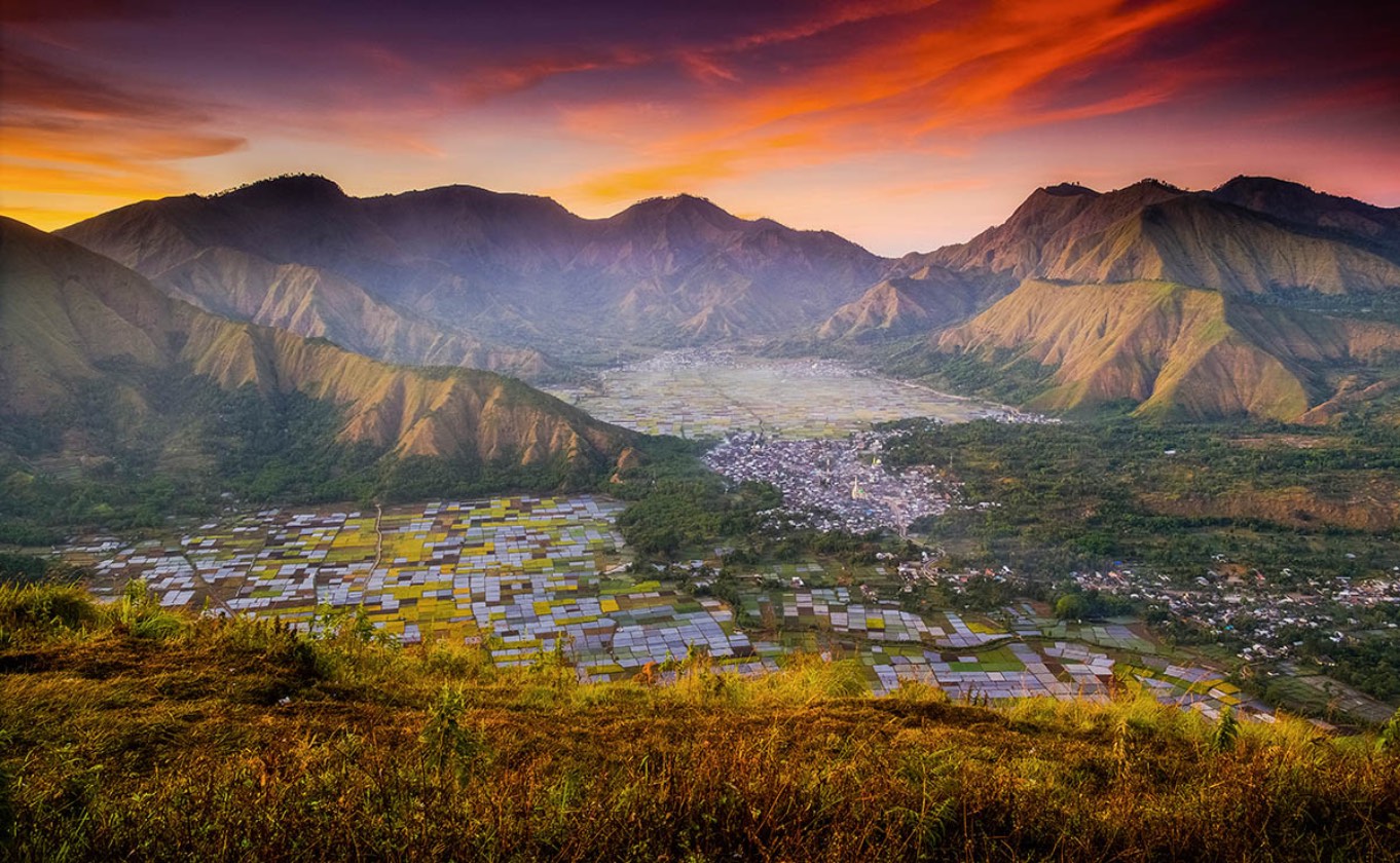 International Garden Photographer of the Year 2019 Winners - Nature TTL