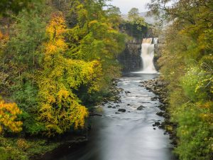 How to Photograph Landscapes in the Rain - Nature TTL