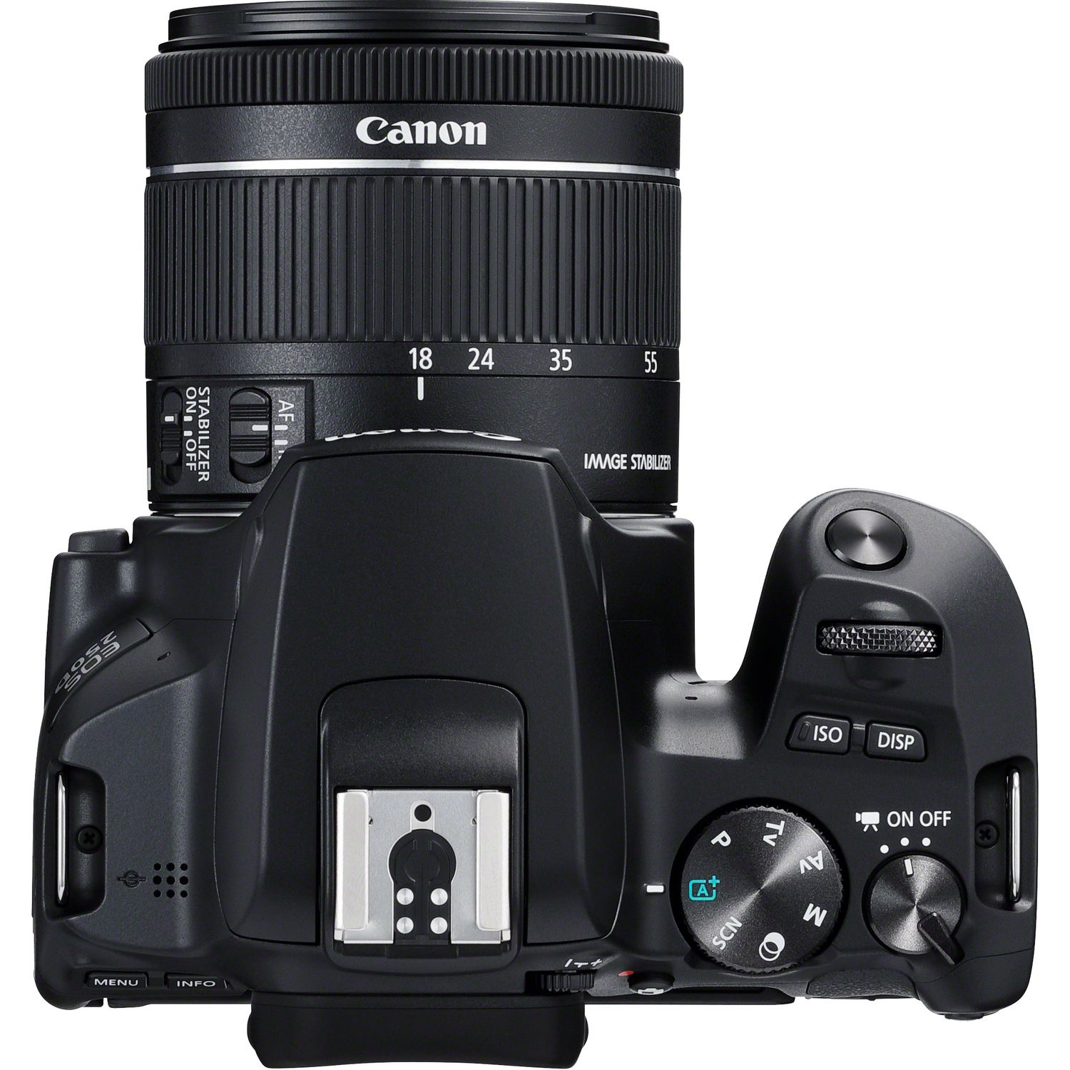 New EOS 250D is Canon's Lightest and Smallest DSLR Ever - Nature TTL