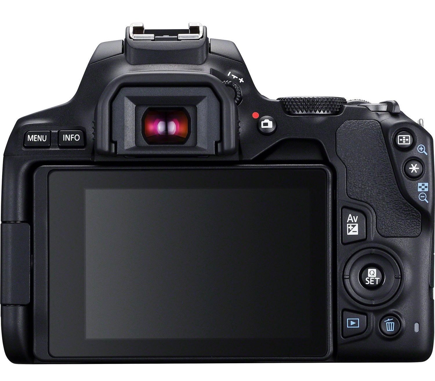 New EOS 250D is Canon's Lightest and Smallest DSLR Ever - Nature TTL