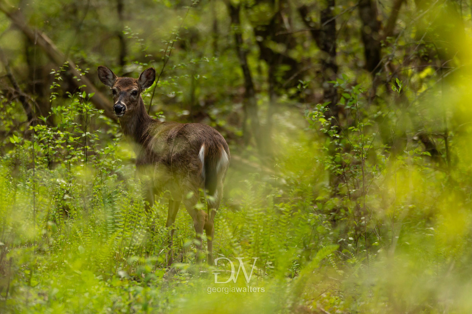 Weekly Photography Assignment: The Night Sky - Nature TTL