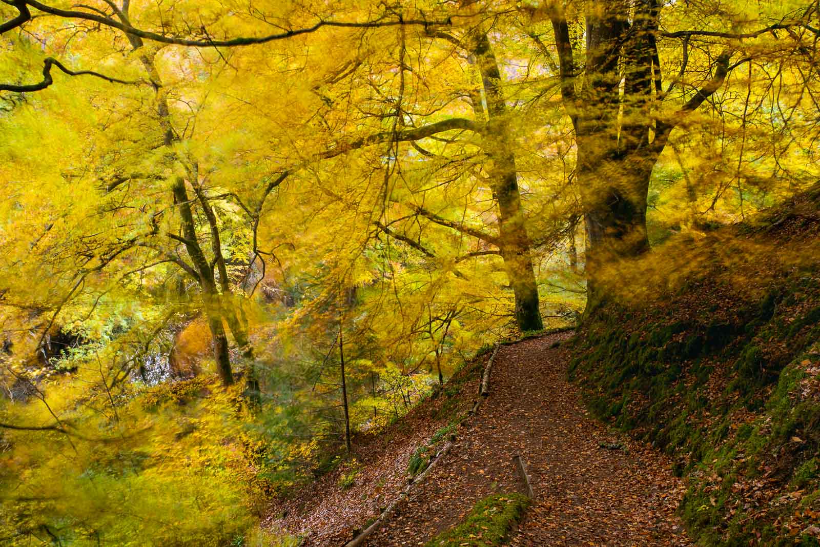 How to Take Long Exposure Landscape Photos | Nature TTL