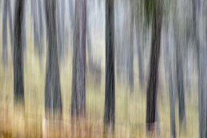 How to Take Long Exposure Landscape Photos | Nature TTL