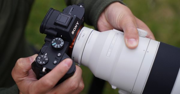 Sony Announces Two New 'Super-Telephoto' Lenses - Nature TTL