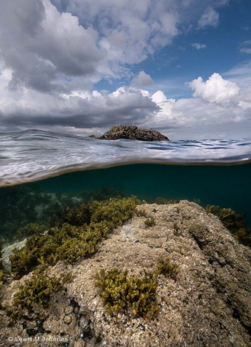 Underwater Split-Shots: Top Tips for Over-Under Photos - Nature TTL