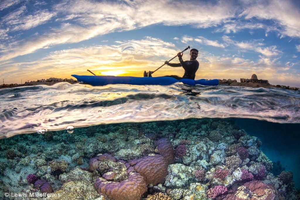 Underwater Split-Shots: Top Tips for Over-Under Photos - Nature TTL