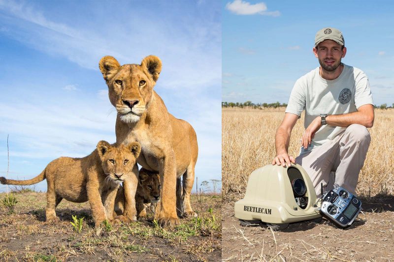 10 Years of BeetleCam: Will Burrard-Lucas Looks Back - Nature TTL